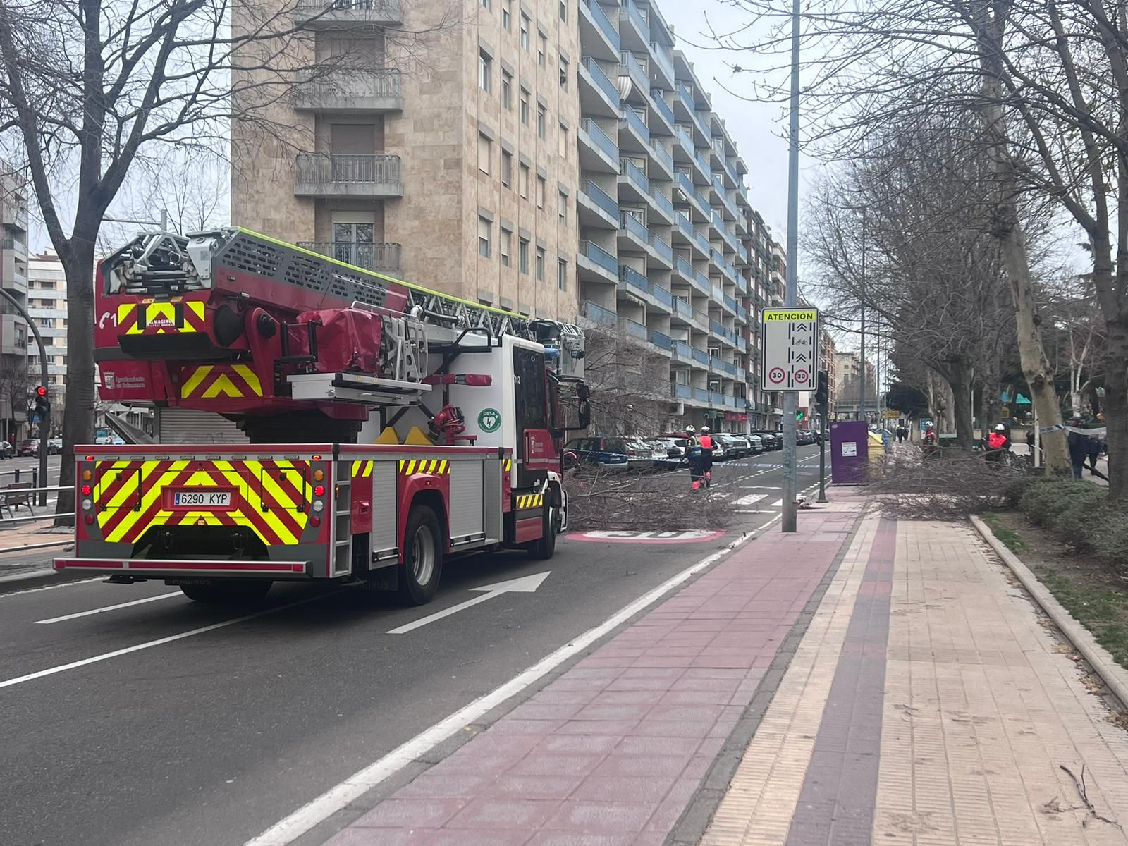 GALERÍA | Cae un árbol de grandes dimensiones en la avenida de Comuneros