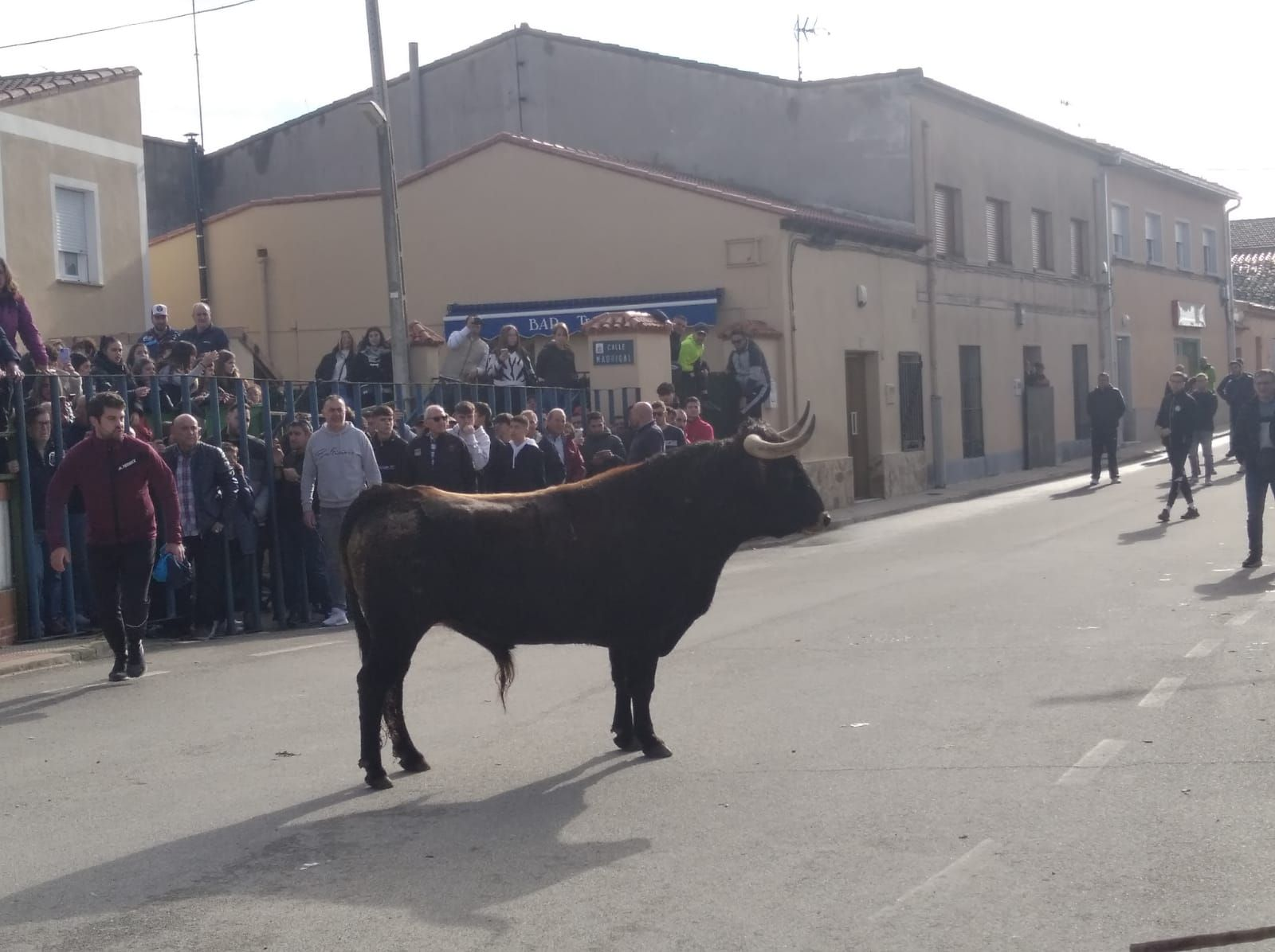 El toro del cajón reúne a cientos de aficionados en Cantalapiedra