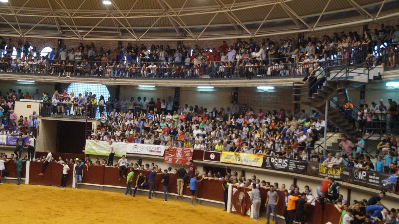 Toro del cajón