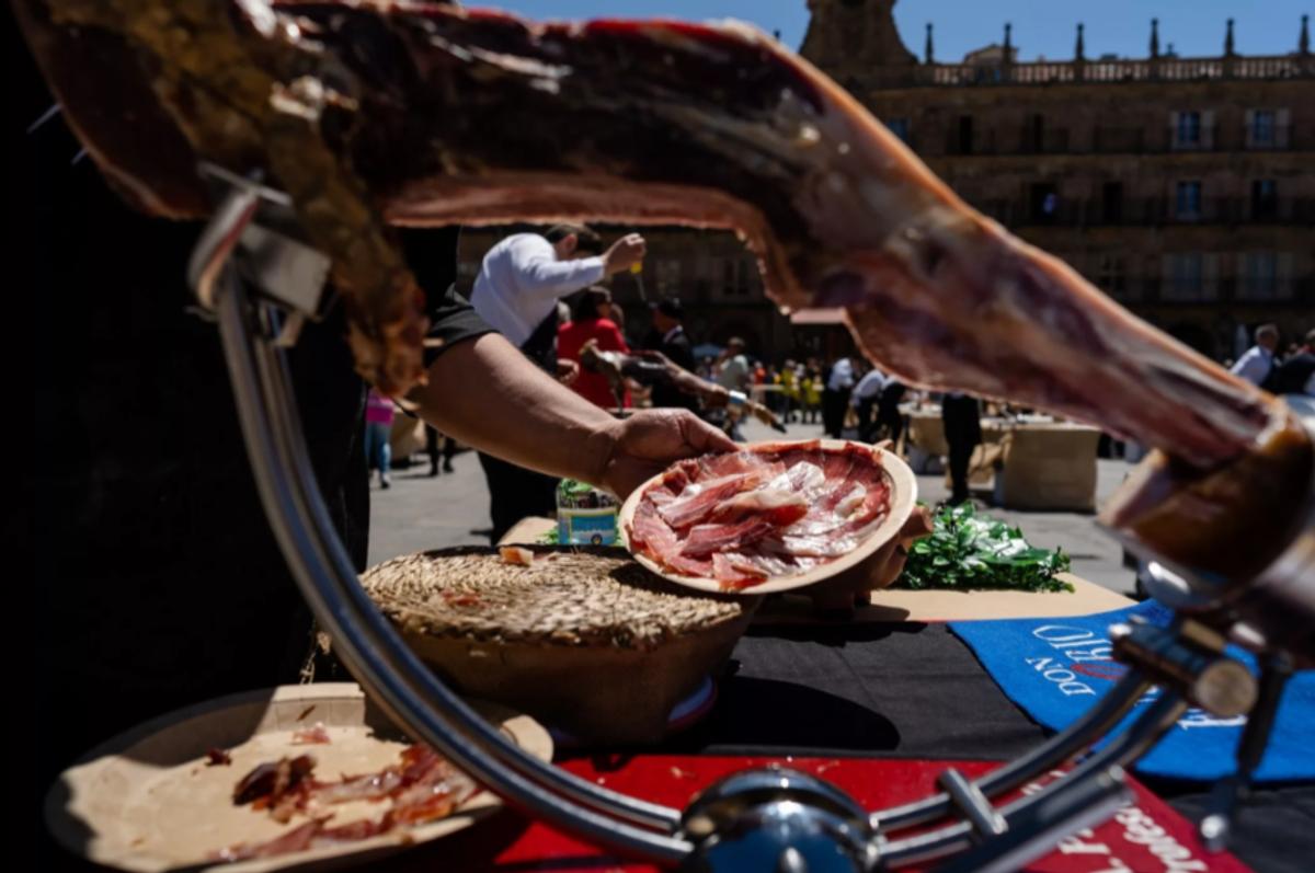 80 cortadores de jamón se dan cita en la Plaza Mayor de Salamanca este ...