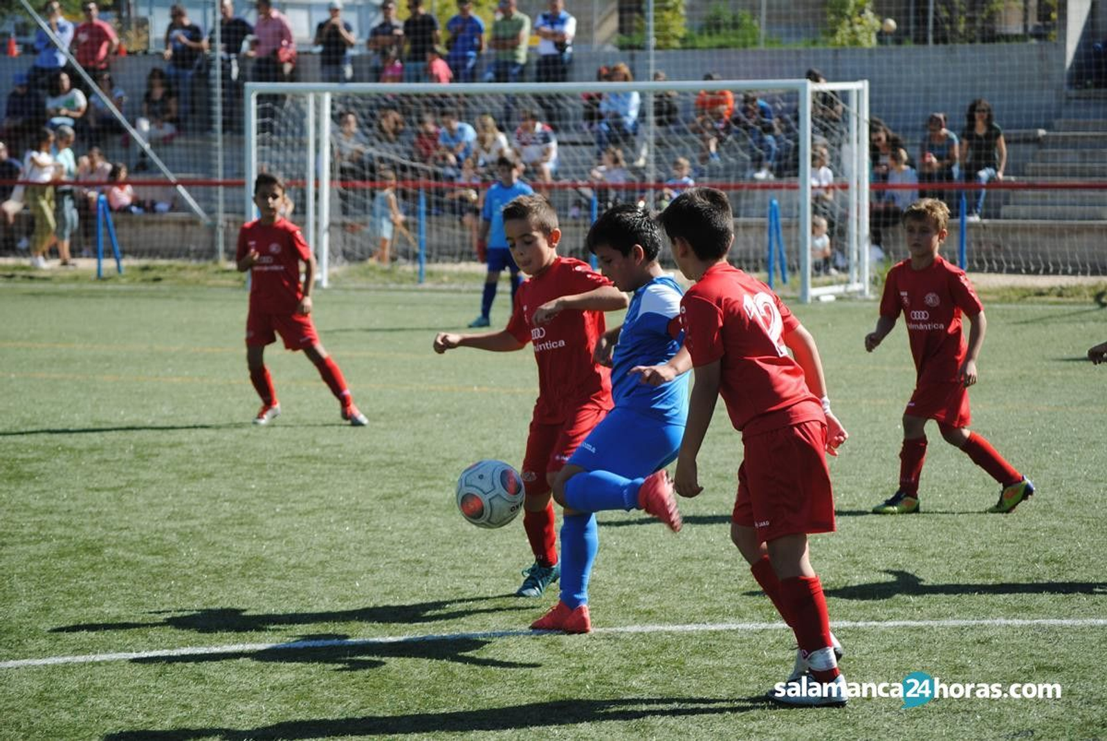 Resultados y clasificaciones: Benjamín